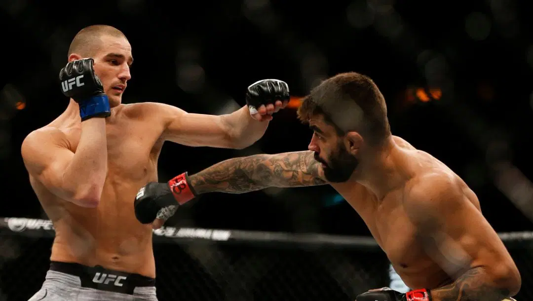 UFC Fight Night: Strickland vs Imavov Purse, Payouts and Salaries ...